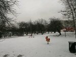 Спортивная площадка (Moscow, Apple Garden Park), spor alanı  Moskova'dan