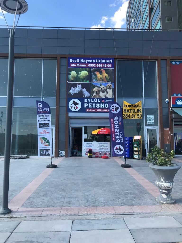Petshop Eylül, Ankara, foto