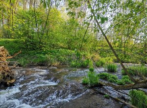 Малый водопад (Kaluga Region, reka Serpeyka), şelale  Kalujskaya oblastından