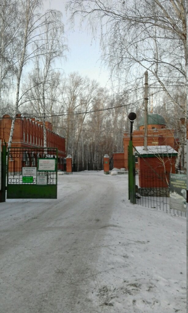 Mezarlıklar Mahmudov Müslüman Kabristanı, Çeliabinsk, foto