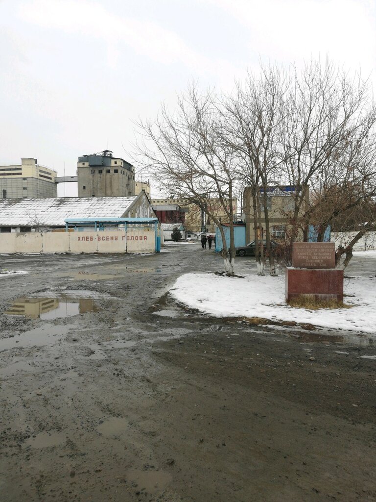 Boya ve cila malzemeleri üretim ve satış yerleri Alina Paint, Taraz, foto