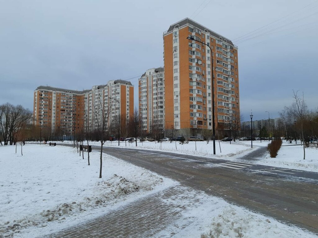 Eğitim merkezleri Tsentr intellektualnogo razvitiya, Moskova, foto