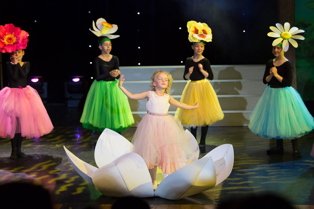 Dans okulları Kids musical academy, Zvenigorod, foto