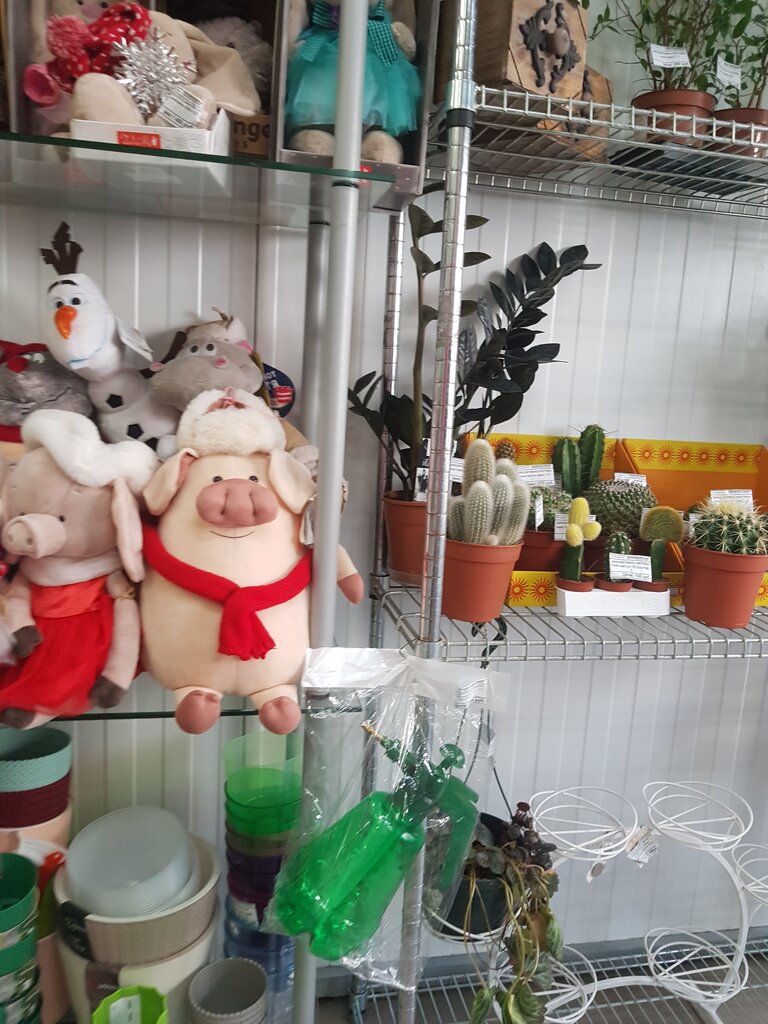 Çiçekçiler CvetyOptRoznitca, Saint‑Petersburg, foto