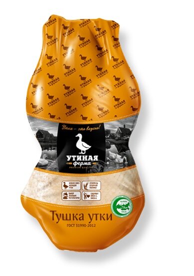 Kanatlı hayvan ürünleri ve yumurta Pavlovskaya chicken, Kovrov, foto