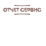 Otchet Servis (Sharlykskoye shosse No:1к2), muhasebeciler  Orenburg'dan
