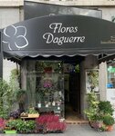 Flores Daguerre (Calle Velázquez No:20, Municipios Madrid), çiçek teslimatı  Madrid'den