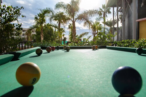 Bar White Hart, Baf (Paphos), foto