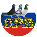 Sports Pigeons of Russia (Altufyevskoye Highway No:92), petshop  Moskova'dan