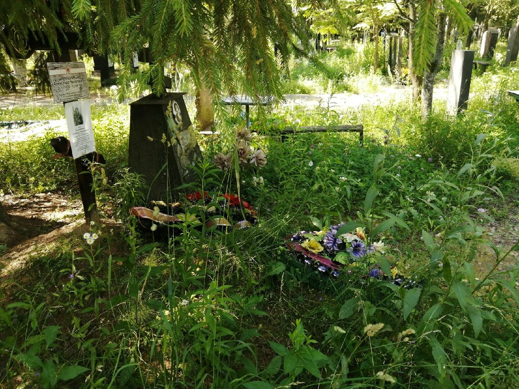 Ünlü kişilerin mezarları Александр Николаевич Барышников, Vladimirskaya oblastı, foto