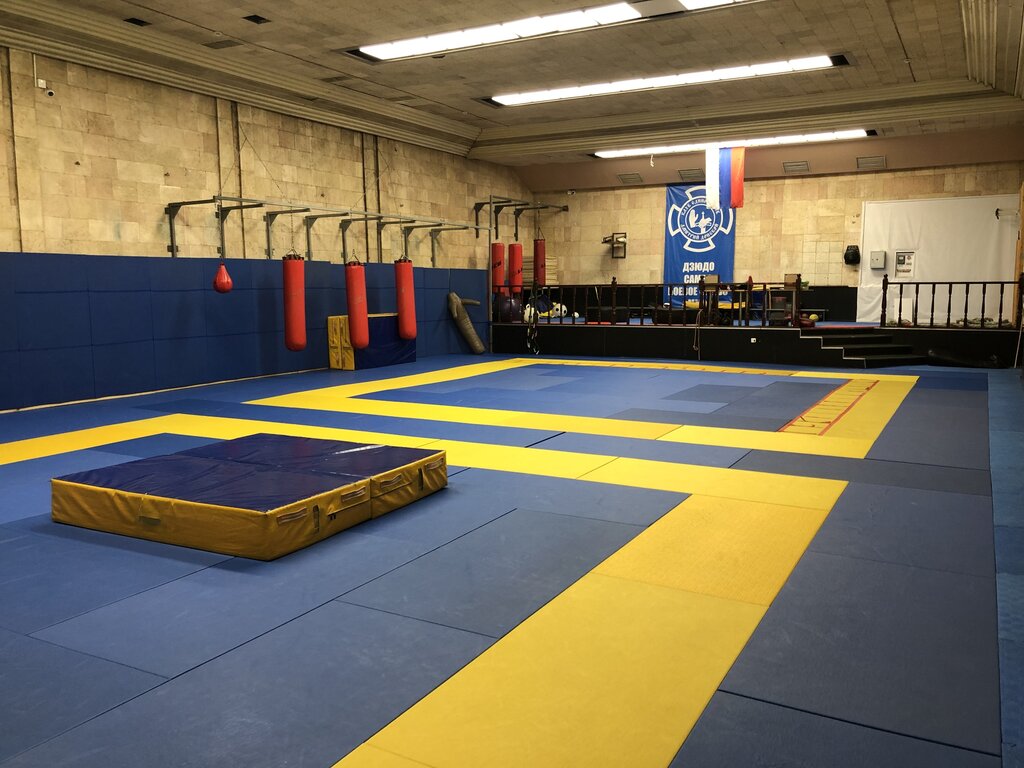 Spor kulüpleri Dmitrij Donskoj, Voronej, foto