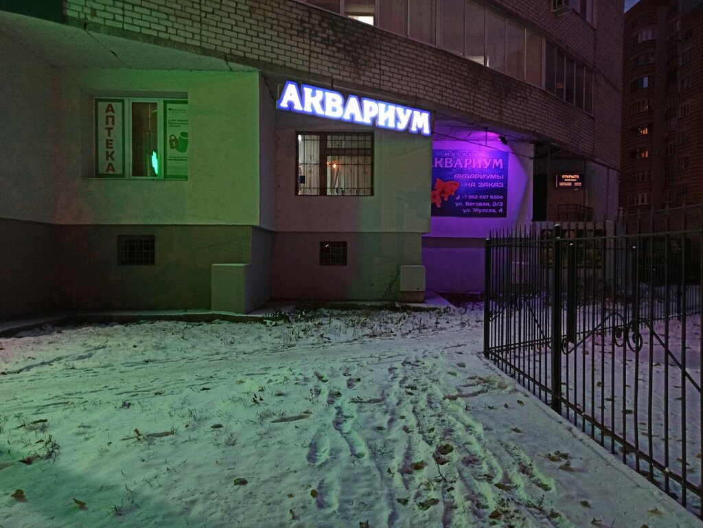 Petshop Аквариум, Voronej, foto