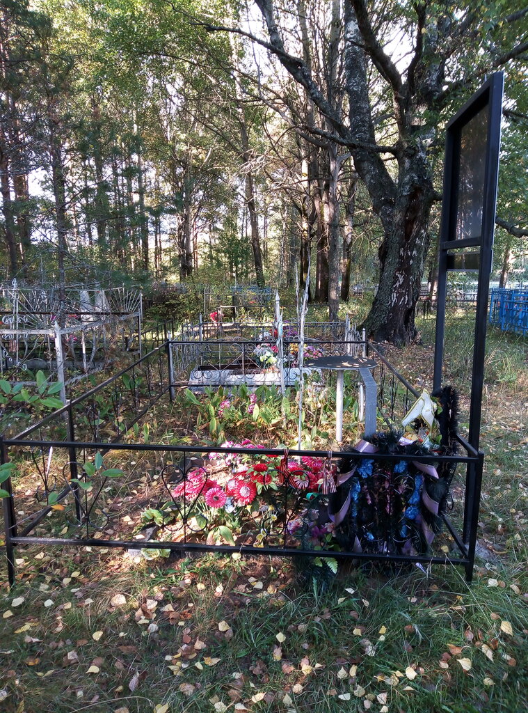 Anıt, heykel Погибшим в годы Великой Отечественной войны, Vologodskaya oblastı, foto