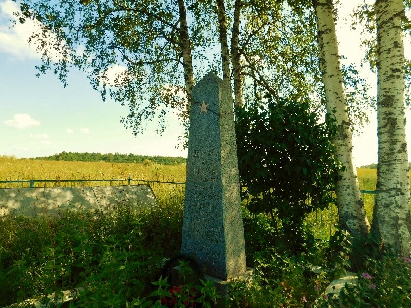 Anıt, heykel Братская могила воинов Советской Армии 1941-1945 гг., Novgorodskaya oblastı, foto