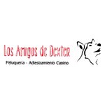Los Amigos de Dexter (Comunidad Autónoma de Aragón, Zaragoza, Carretera Local, 1), petshop  Zaragoza'dan