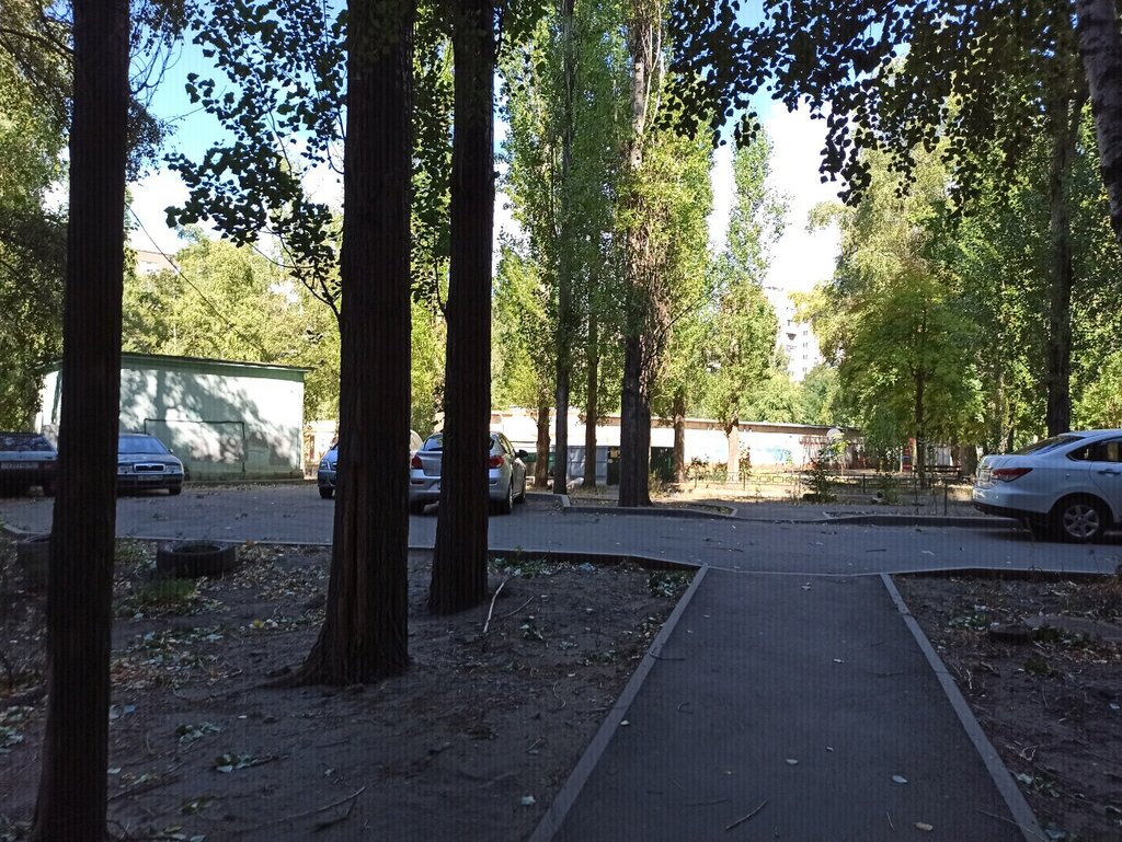 Otoparklar Парковка, Voronej, foto