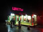 Flower Shop (Daurskaya Street No:38Г), çiçekçiler  Kazan'dan