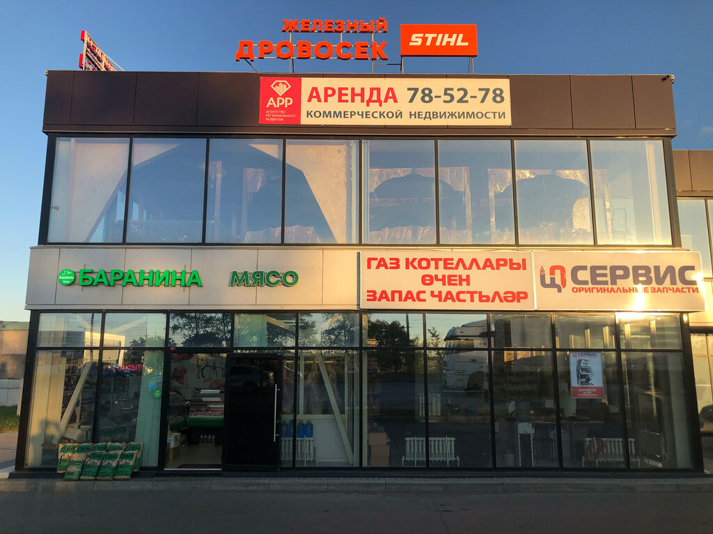 Elektrik ve benzinle çalışan aletler Железный Дровосек, Naberejniye Çelny (Yar Çallı), foto