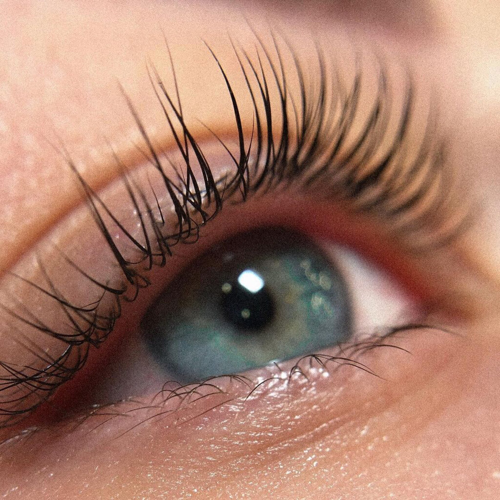 Kaş ve kirpik salonu M&m Beauty Studio, Moskova, foto