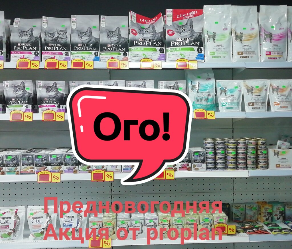 Petshop МурСити, Briansk, foto