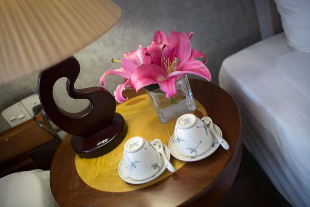 Otel Hanoi Symphony Hotel, Hanoi, foto