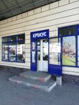 Krokus (Jambıl avenue No:123), mini-market  Taraz'dan