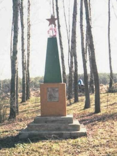 Anıt, heykel Землякам, Grodnenskaya oblastı, foto