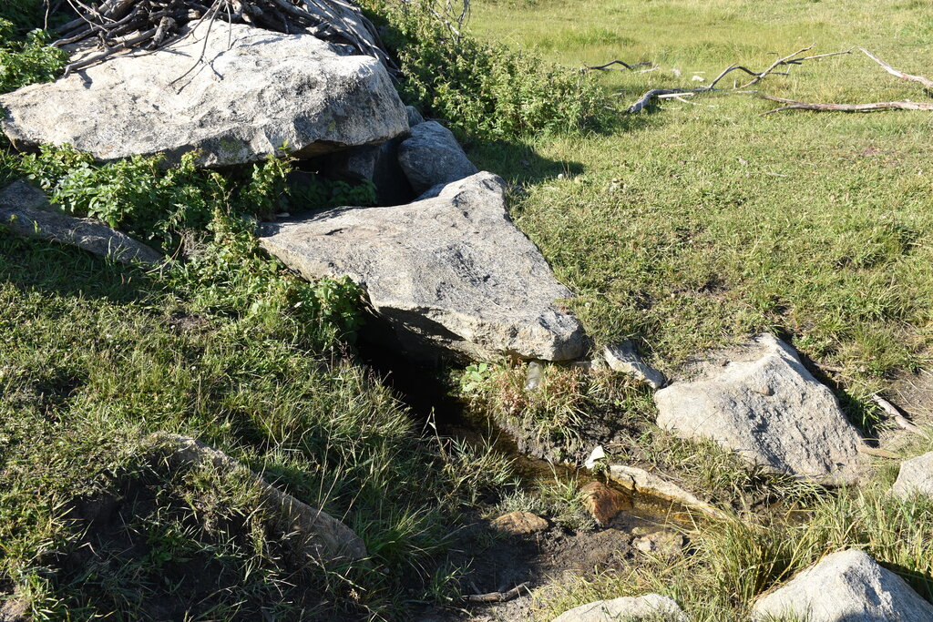 Pınar, çay Исток ручья Карагашки, Orenburgskaya oblastı, foto