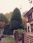 Giardini Barreno (Lombardy, la città di Pavia, Via Saverio Griffini), peyzaj tasarımı  Pavia'dan