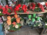 Blumen Radl (Linzer Straße No:480, Wien, Vienna), çiçek teslimatı  Viyana'dan