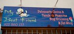 Peluquería Canina My Best Friend (Canarias, Santa Cruz de Tenerife, Santiago del Teide, Puerto de Santiago, Calle los Ángeles), petshop