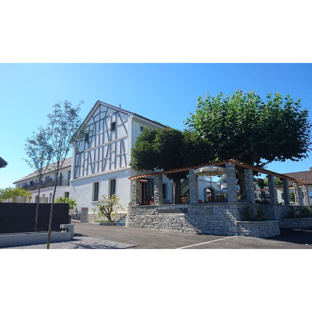 Restoran Gasthof Steinhof, Aargau, foto