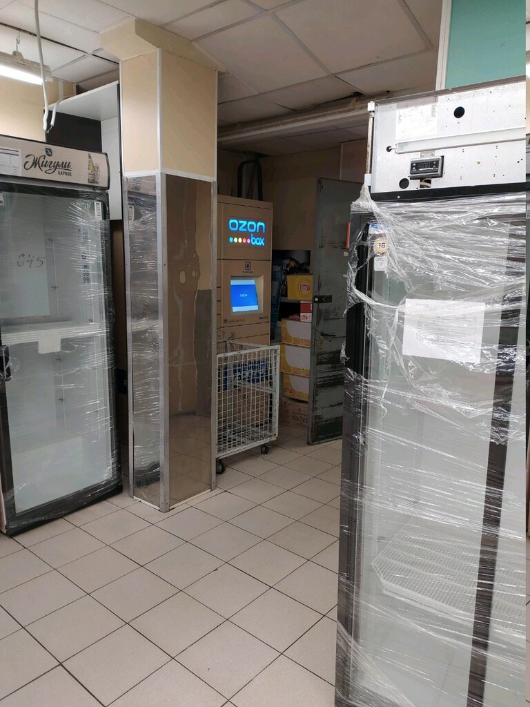 Parsel otomatı Ozon.ru, Moskova, foto