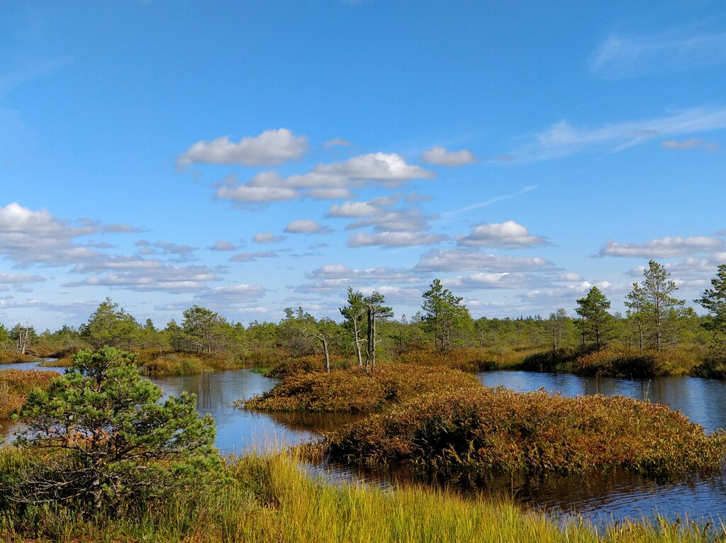 Doğa koruma alanı Республиканский ландшафтный заказник Ельня, Vitebskaya oblastı, foto