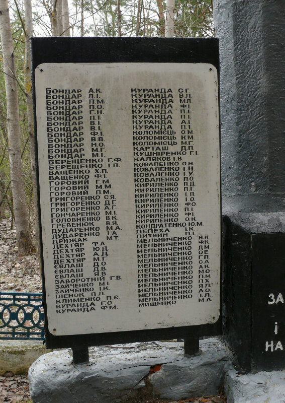 Anıt, heykel Воинам-землякам, Kiev Bölgesi, foto