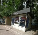 San-San (Voronezh, Kholzunova Street), saatçiler  Voronej'den