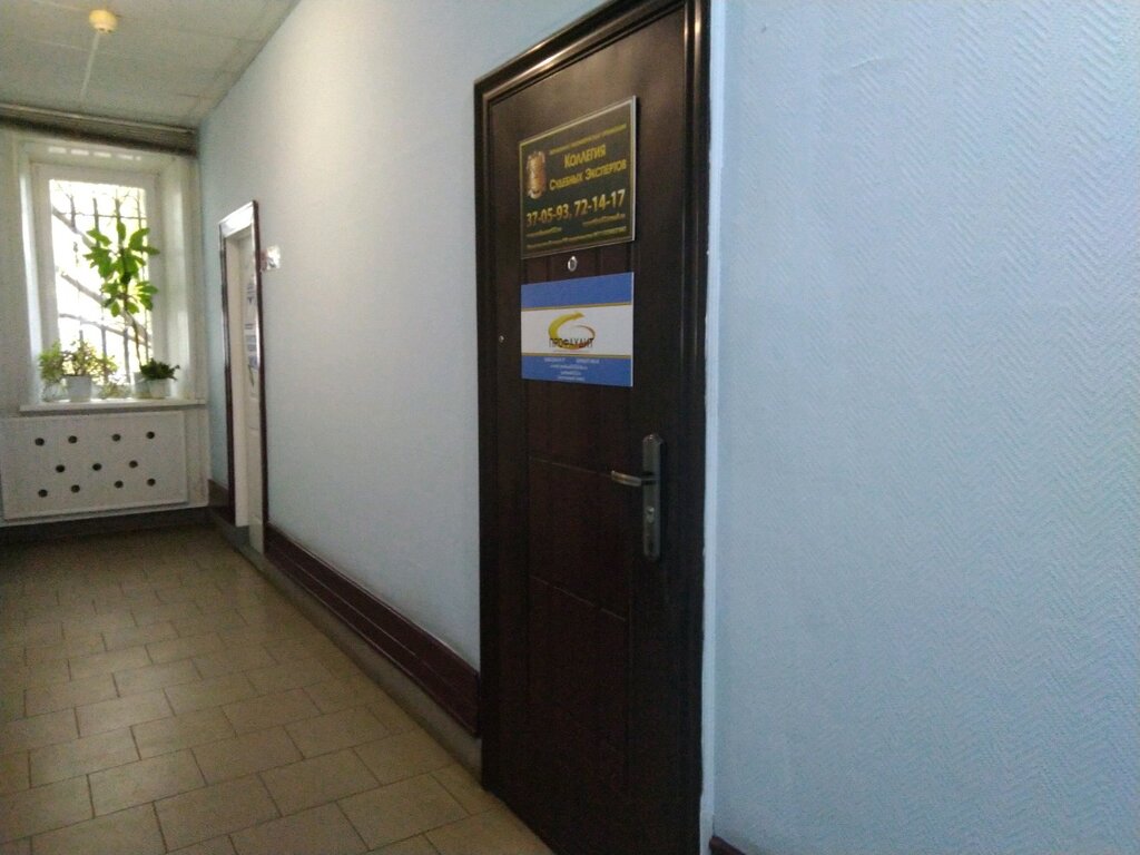 Muhasebeciler ProfAudit, Briansk, foto