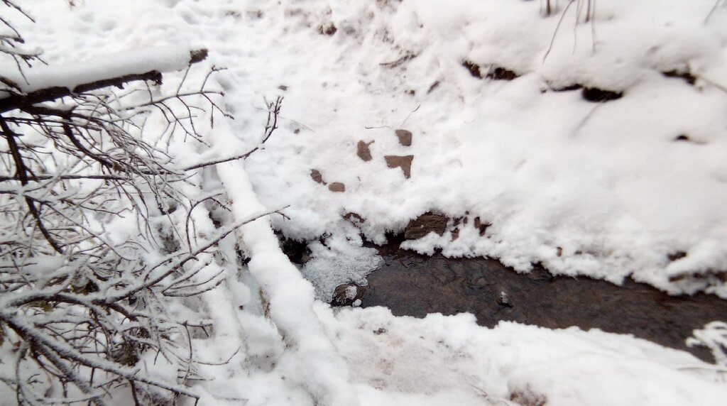 Pınar, çay Spring, stream, Udmurtiya, foto