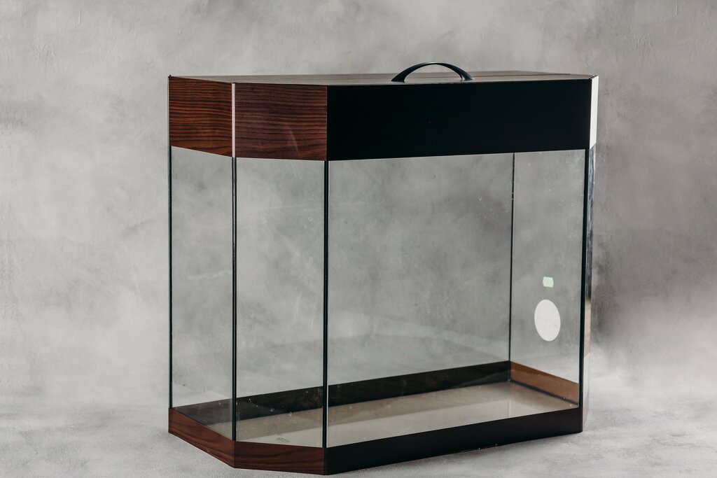 Akvaryumlar Fish House, Krasnodar, foto