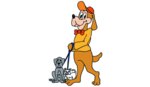 Pippo Dog sitter (Sicily, Palermo, Via F. G. Pipitone), evcil hayvan yetiştiricileri  Palermo'dan