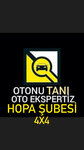 Otonu Tanı Hopa Oto Ekspertiz Merkezi (Artvin, Hopa, Sahil Cad., 30), otomobil ekspertizi  Hopa'dan