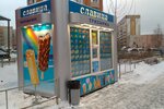 Славица (Akademika Glushko Street No:35), dondurmacılar  Kazan'dan