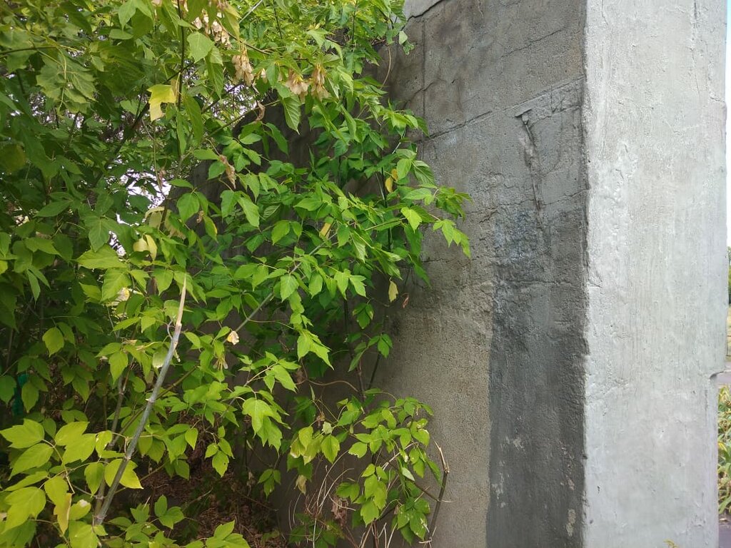 Anıt, heykel Воинам, павшим в годы Великой Отечественной войны, Omskaya oblastı, foto