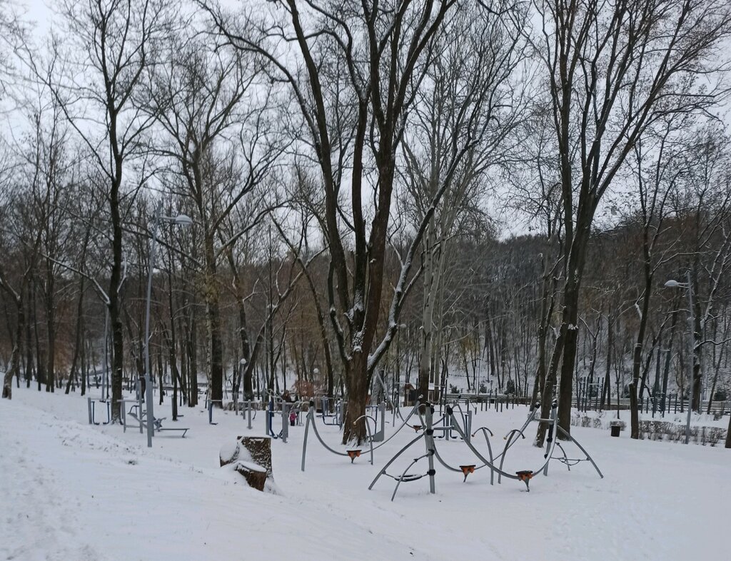 Spor alanı Sports activity location, Voronej, foto