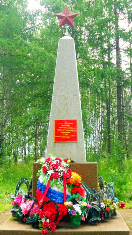 Anıt, heykel Воинам-землякам, Arhangelskaya oblastı, foto