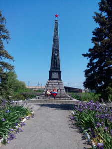 Воинам-станичникам Вольно-Донского сельсовета Морозовского района, погибшим в годы Великой Отечественной войны 1941-1945 (Rostov Region, Morozovskiy District, stanitsa Volno-Donskaya), anıt, heykel  Rostovskaya oblastından
