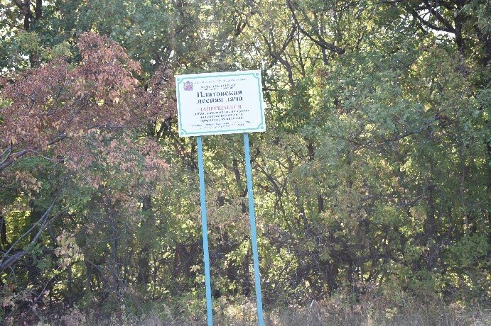 Doğa Ботанический памятник природы Платовская лесная дача, Orenburgskaya oblastı, foto