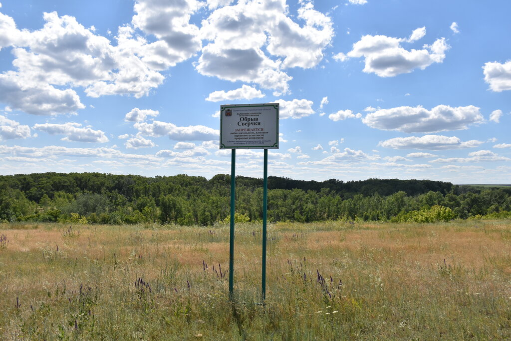 Doğa Геологический памятник природы Обрыв Сверчки, Orenburgskaya oblastı, foto