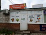 Флоридея (8th Vozdushnoy Armii Street No:53А, Sem Vetrov Neighbourhood), çiçekçiler  Volgograd'dan