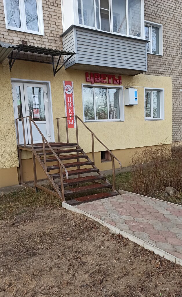 Çiçekçiler Cvetochka, Kineşma, foto